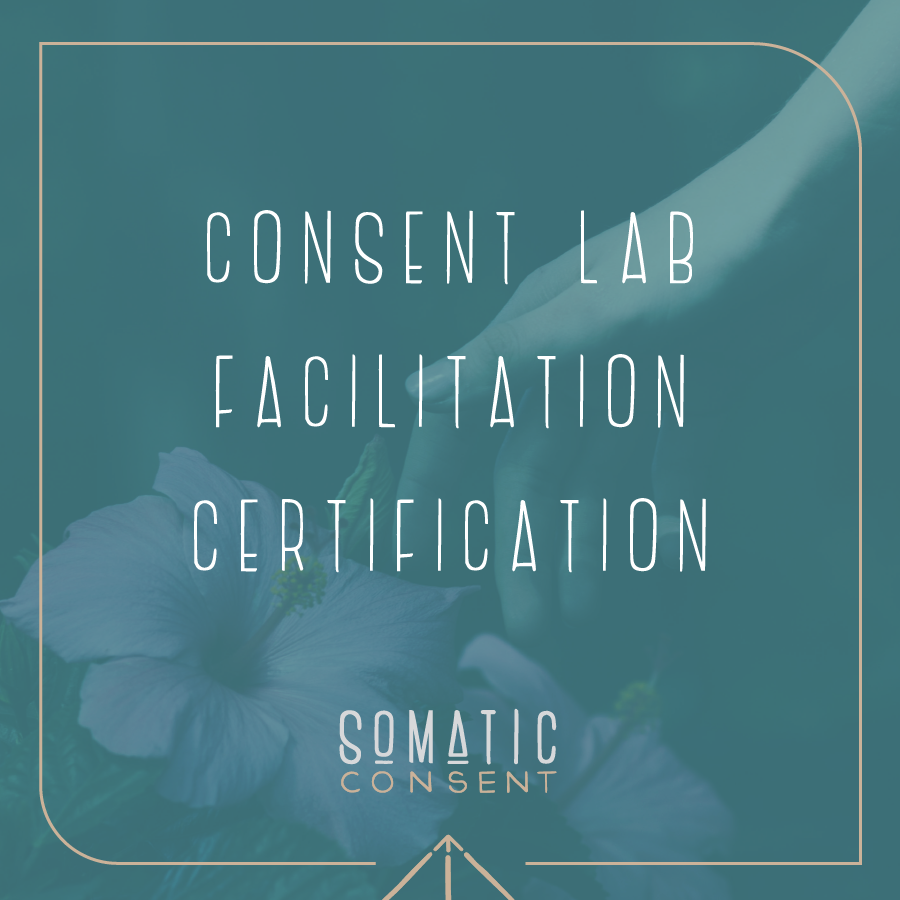 Yeartraining – Somatic Consent Sweden